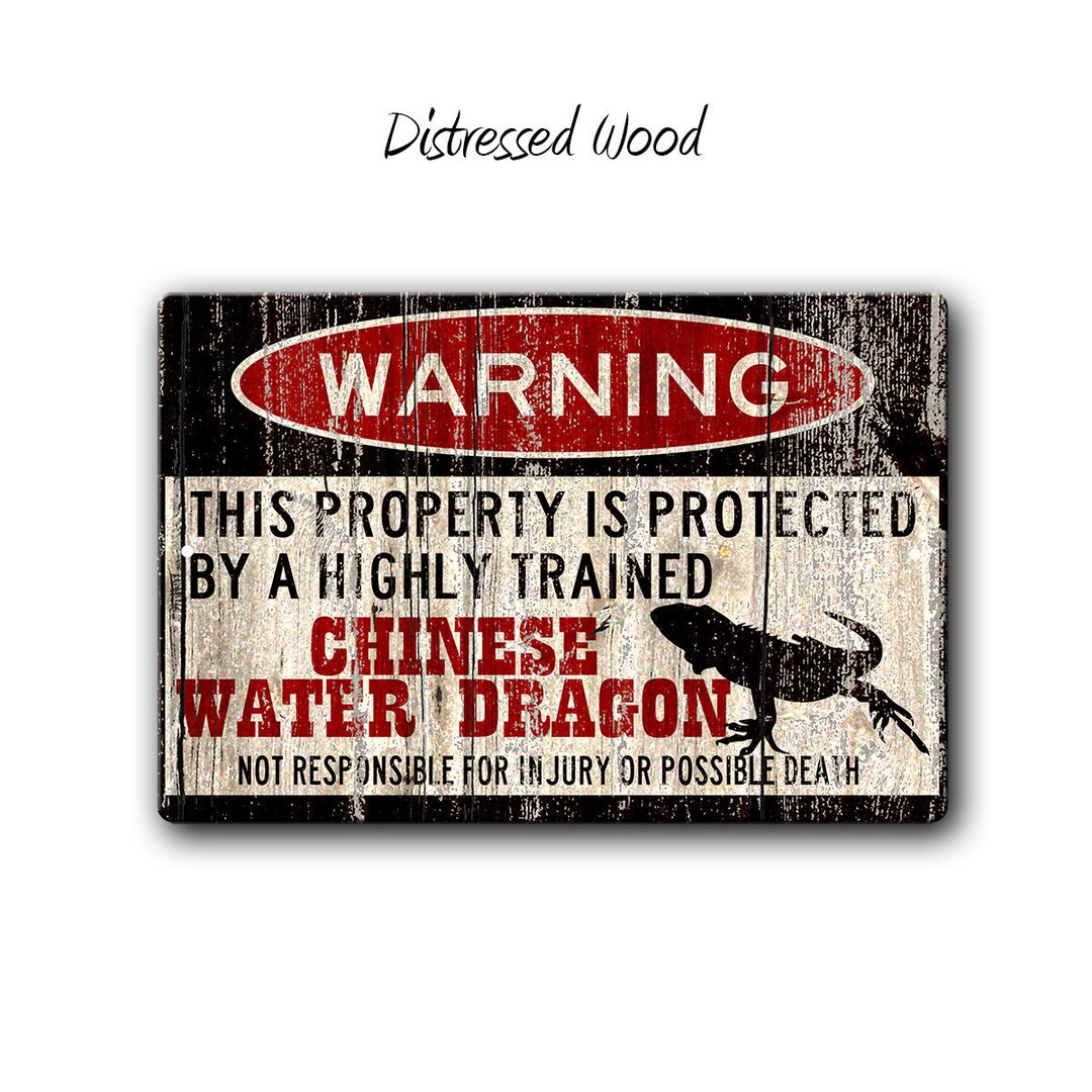 Chinese Water Dragon Sign,funny Metal Signs,water Dragon Accessories ...