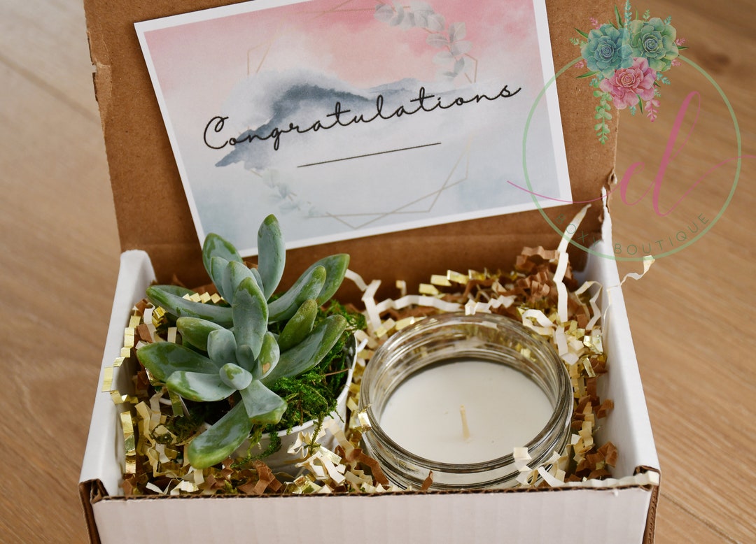 Congratulations Gift | Congrats Gift Box |just Because Gift | Succulent ...