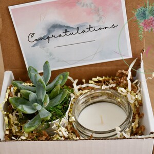 Congratulations Gift | Congrats Gift Box |just Because Gift | Succulent ...