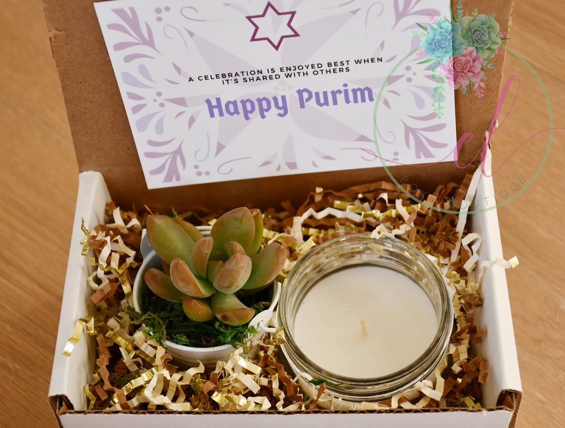Happy Purim Gift Box Candle Succulent Care Package Fast - Etsy