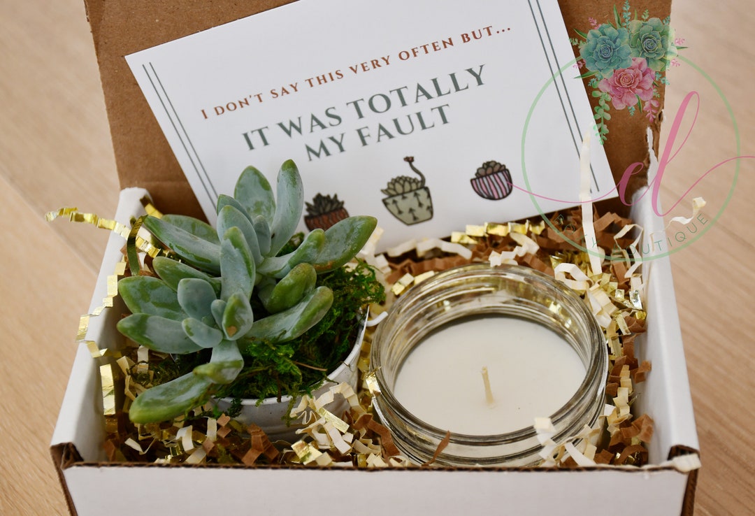 I’m Sorry Gift Box | Candle | Succulent Care Package | Apology | Fast ...