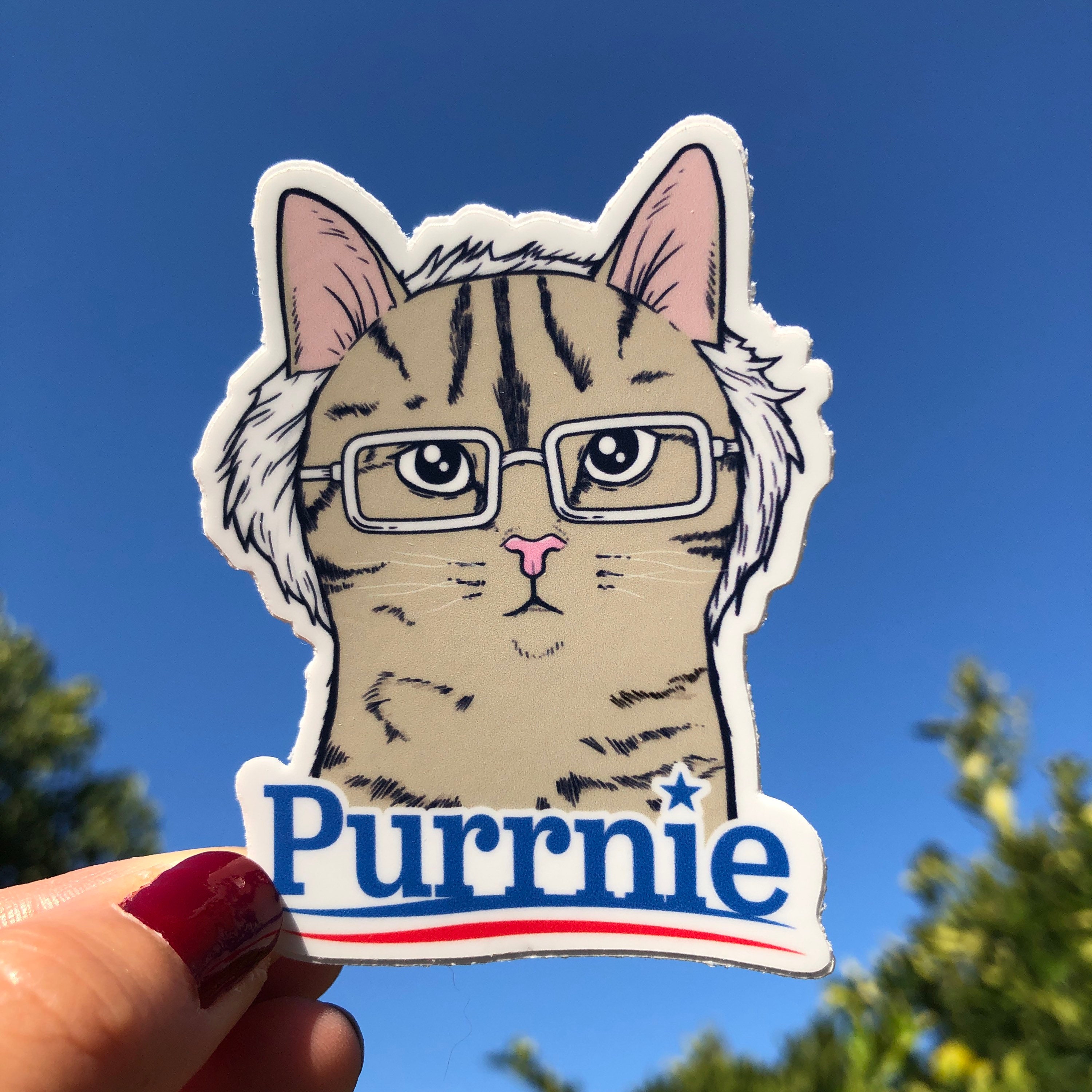 Cat Sticker for Laptop Stickers for Hydroflask Purrnie | Etsy
