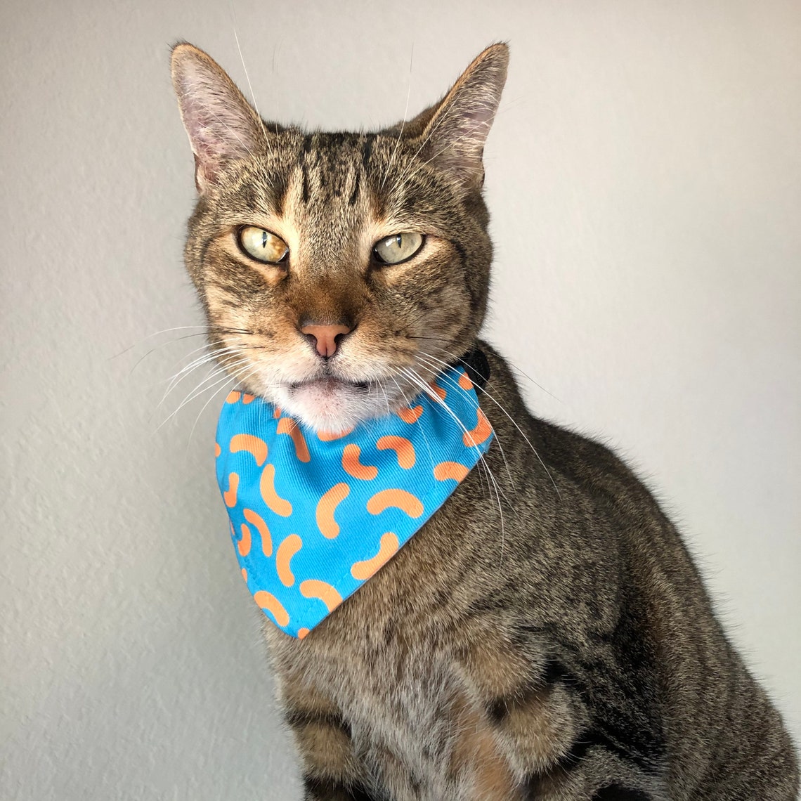Pet Bandana, Cat Bandana, Cheeto Print Bandana for Cats, Cheeto Bandana ...