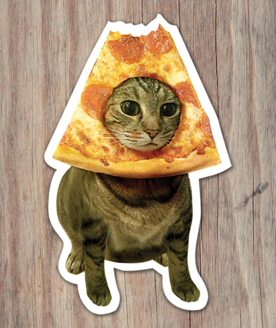 Cat Sticker for laptop Sticker for Hydroflask PizzaCat | Etsy