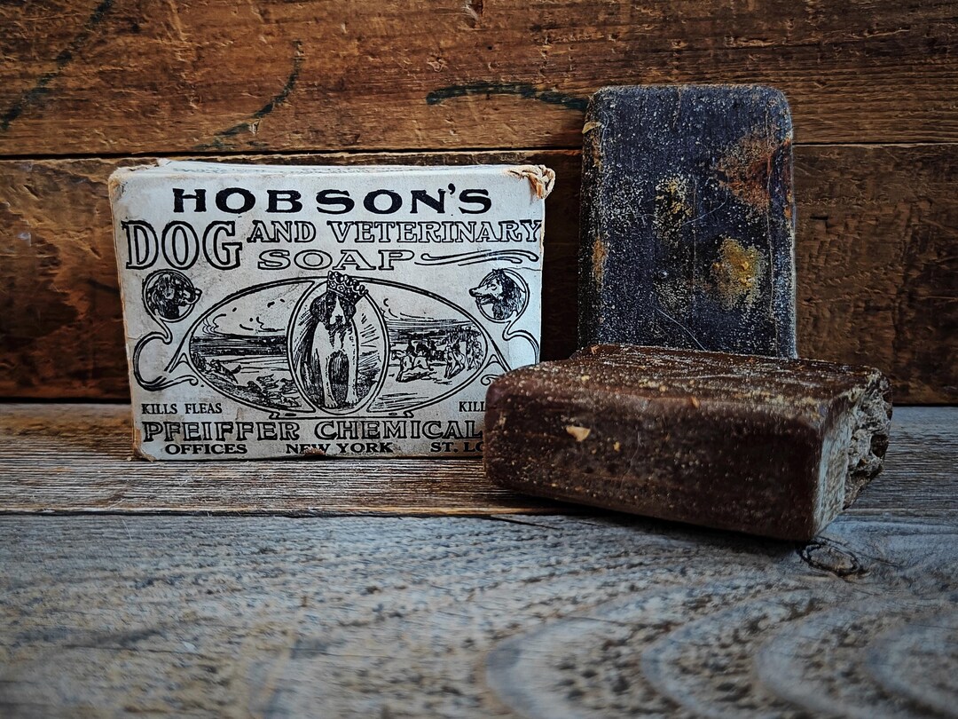 1920s Hobson's Dog and Veterinary Soap - Box and Bars of Soap - 1924 ...
