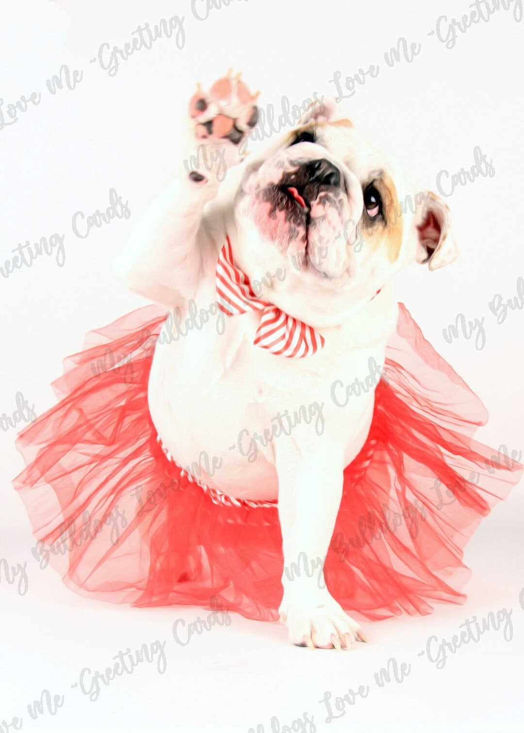 Card #19 / High Five ~ English Bulldog Congratulations Card - Etsy