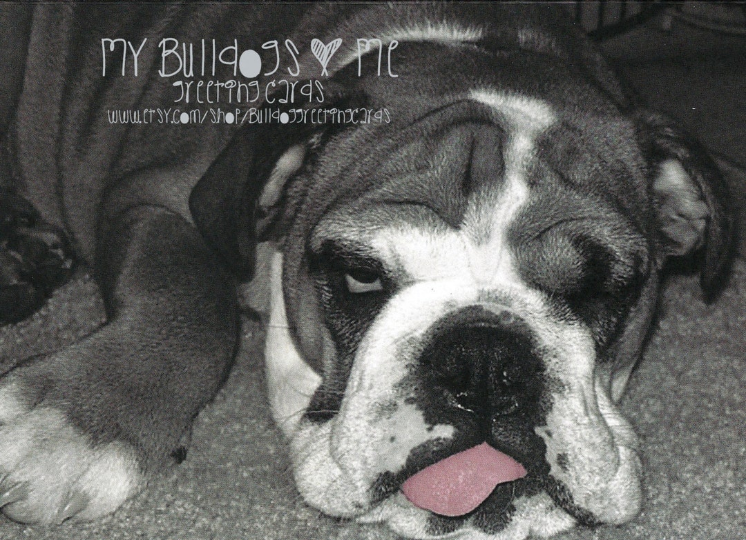 Card #18 / Poopy Vegas ~ English Bulldog Sorry Things Are Poopy ...