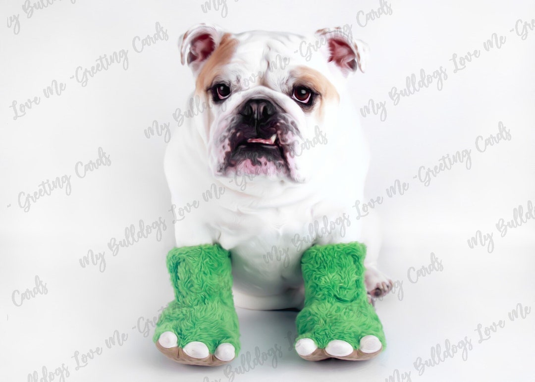 Card #71 /little Monster(s) ~ English Bulldog Father's Day Card - Etsy