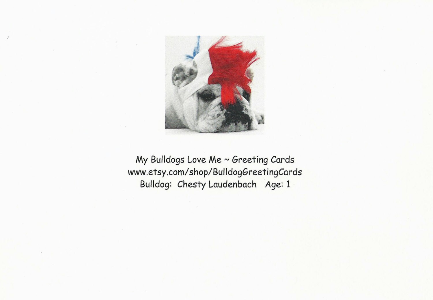 Card 58 / Poopy Chesty English Bulldog Sorry Things Are Poopy Greeting ...