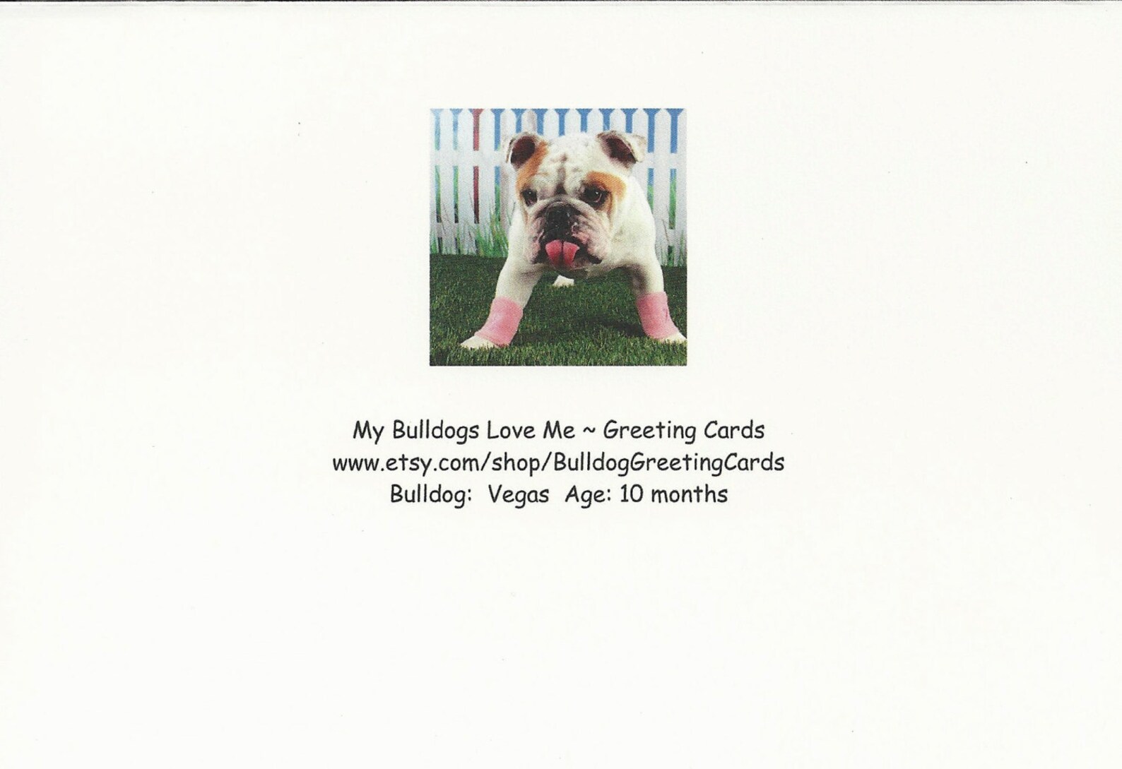 Card #18 / Poopy Vegas ~ English Bulldog Sorry Things Are Poopy ...