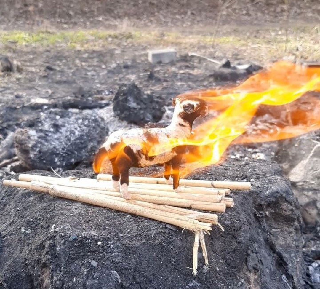 Burning of the Sacrificial Animal - Fulfillment of a Desire - Request ...