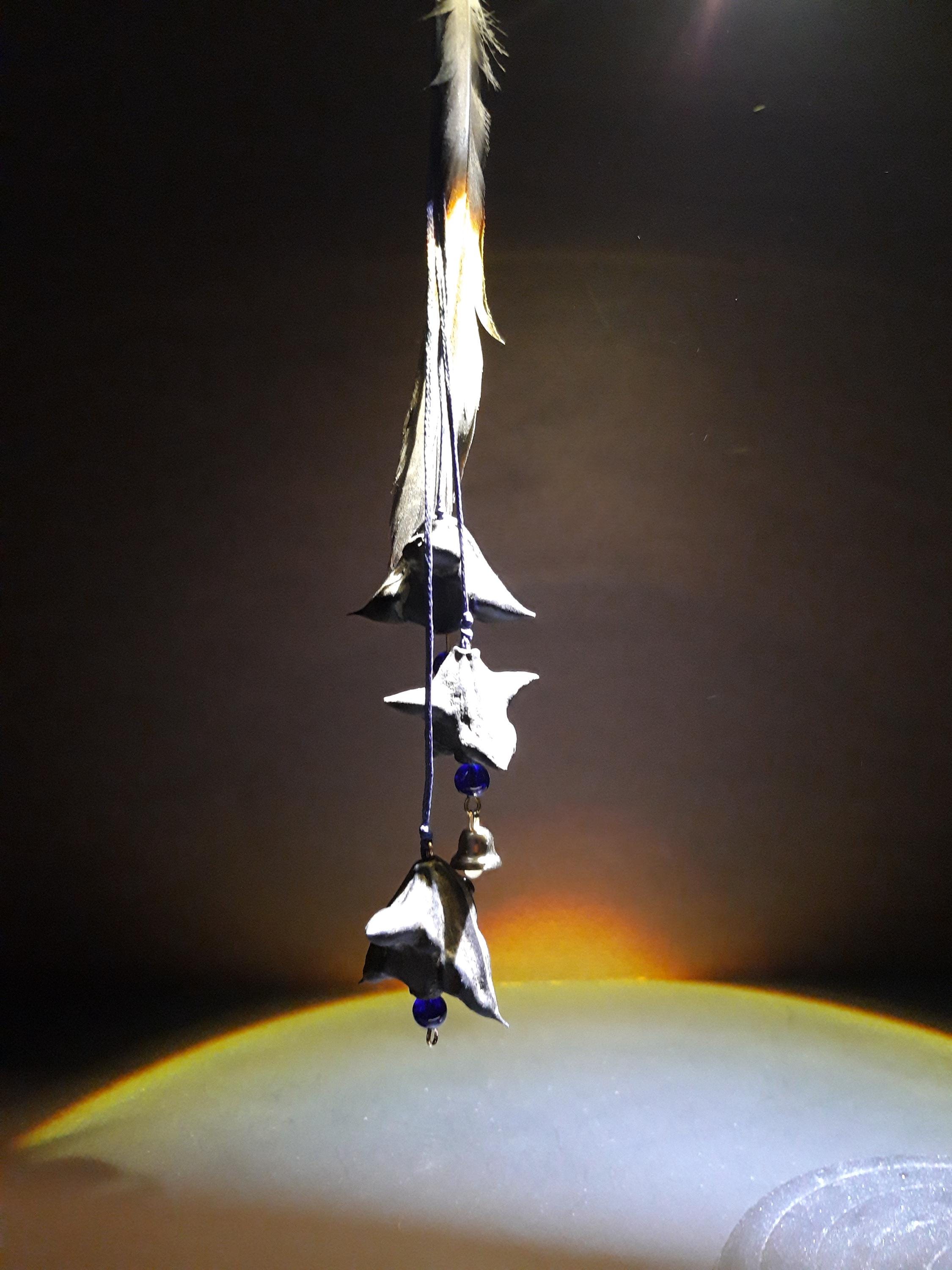 Devils Pod Trapa Natans Protective Amulet Charm Witch's Ladder Talisman ...