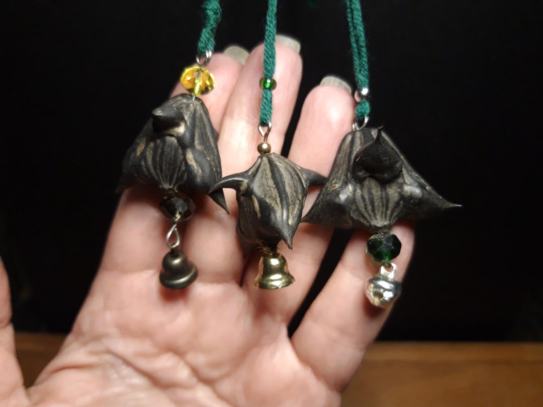 Devils Pod - Trapa Natans - Protective Amulet - Charm - Witch's Ladder ...