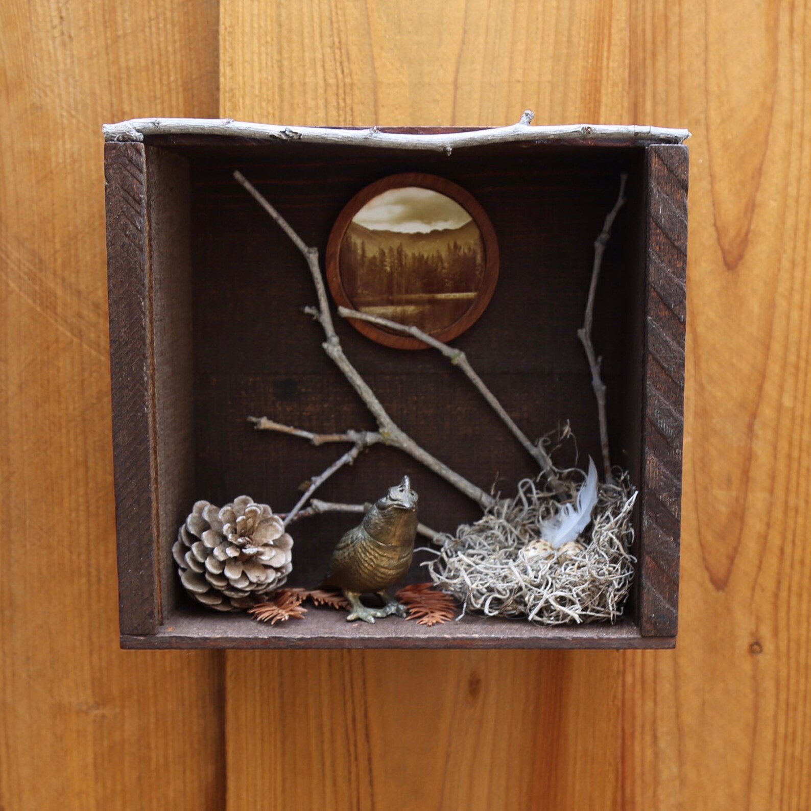 The Nesting Place Found Object Assemblage Art Shadowbox - Etsy