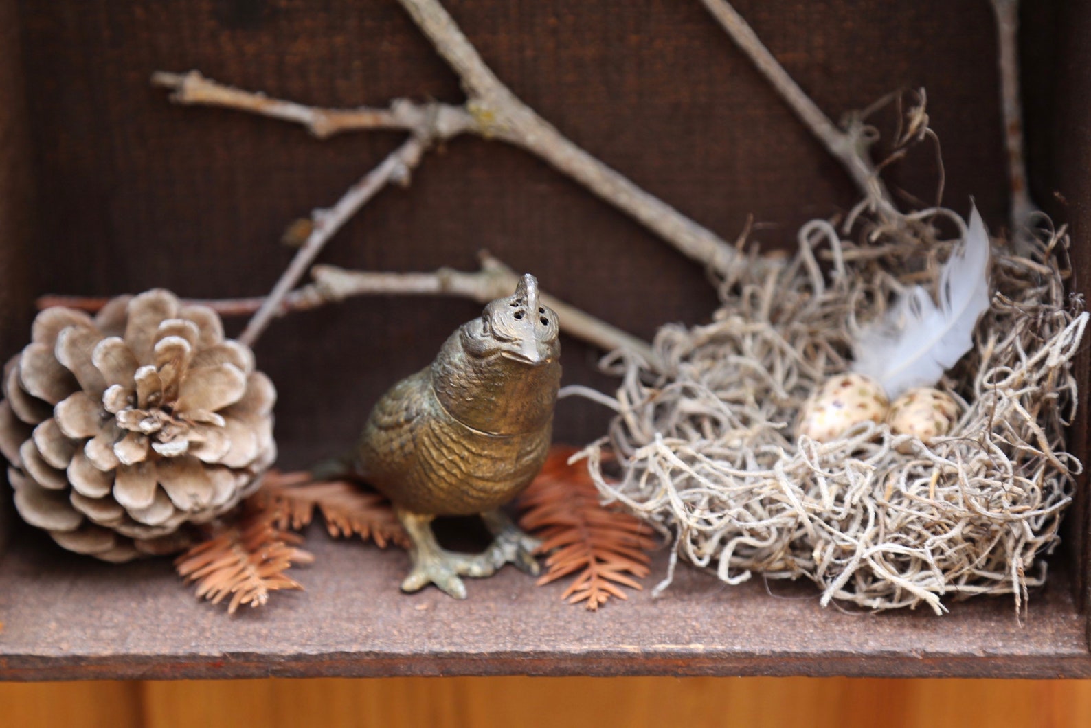 The Nesting Place - Found Object Assemblage Art Shadowbox - Etsy