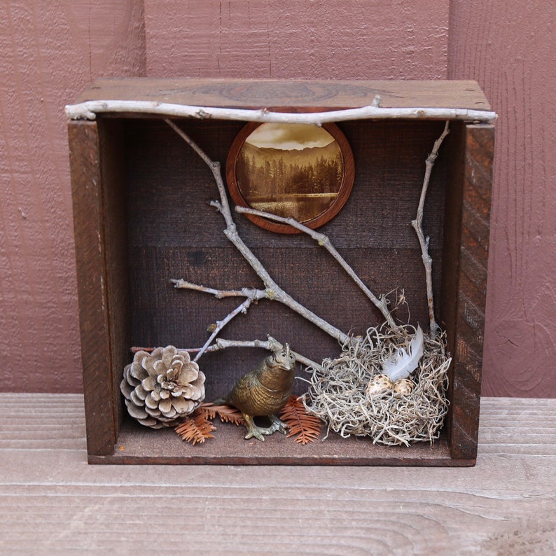 The Nesting Place - Found Object Assemblage Art Shadowbox - Etsy