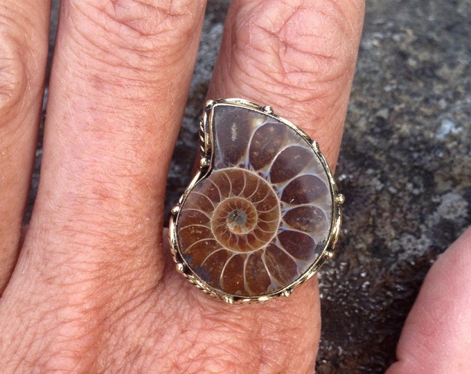 Brass Petite Ammonite Ring / Spiral Fossil Sacred Geometry Ring ...