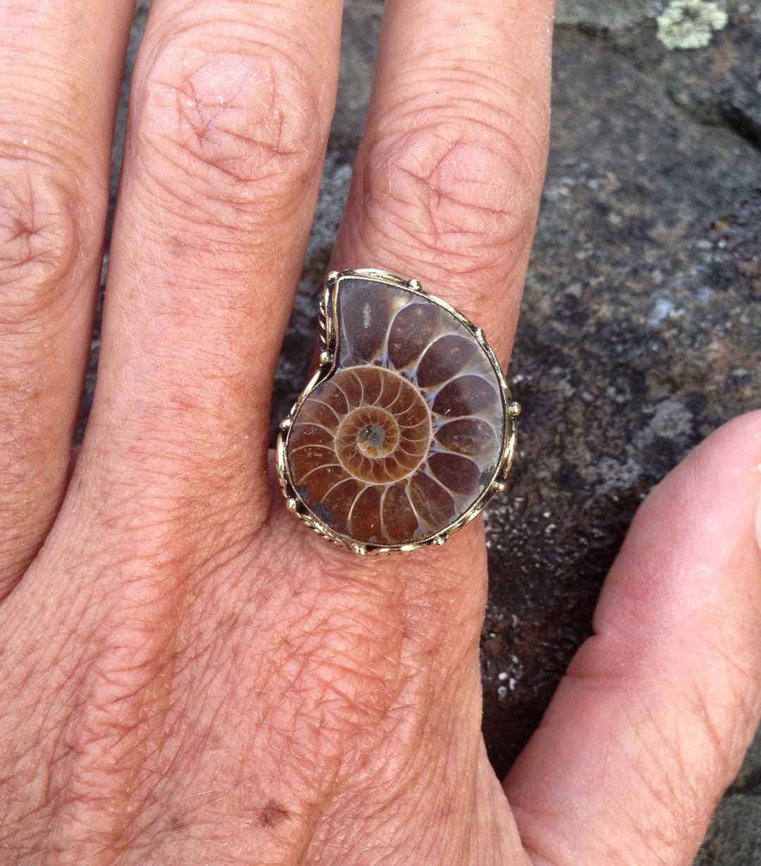 Brass Petite Ammonite Ring / Spiral Fossil Sacred Geometry Ring ...