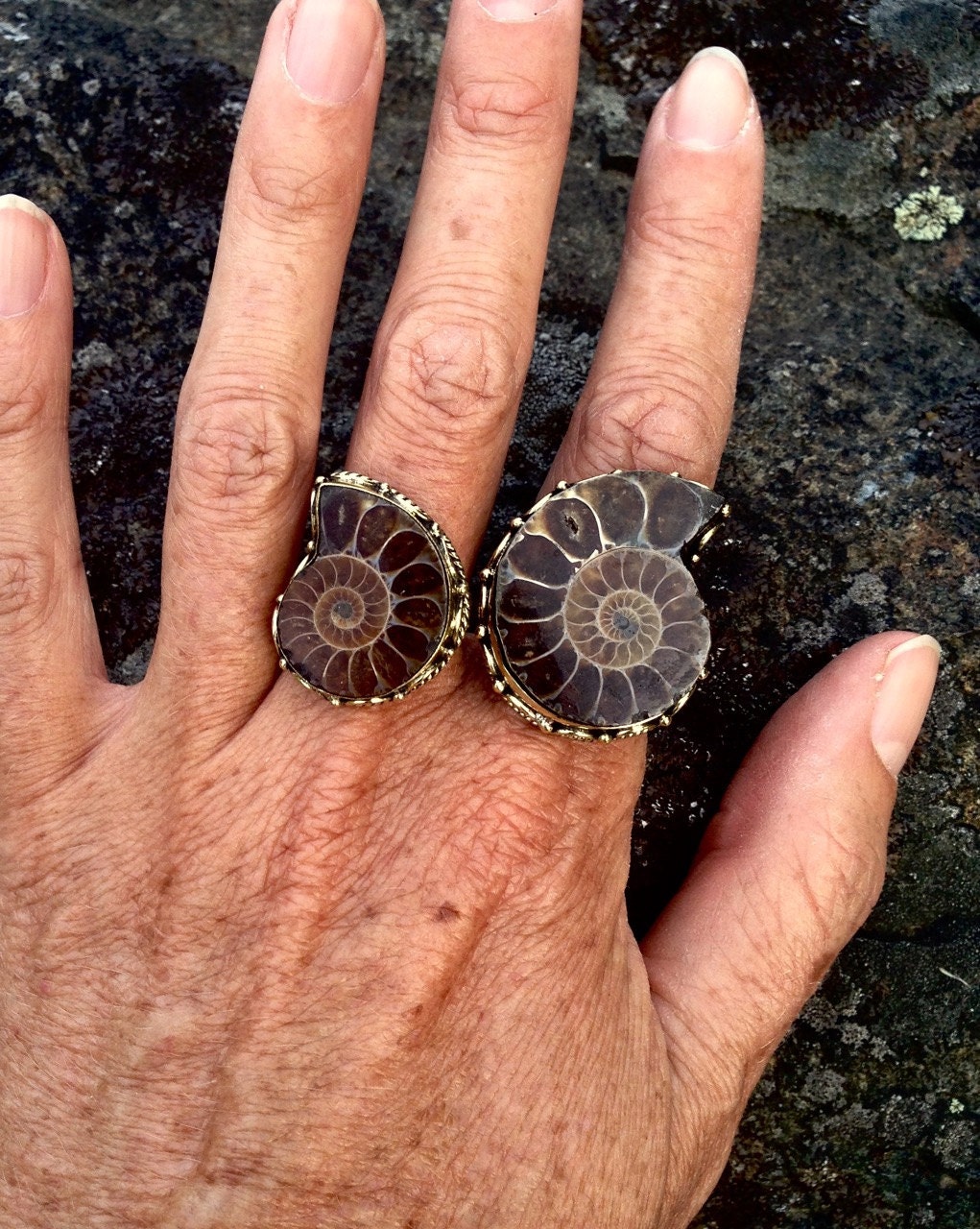 Brass Petite Ammonite Ring / Spiral Fossil Sacred Geometry - Etsy