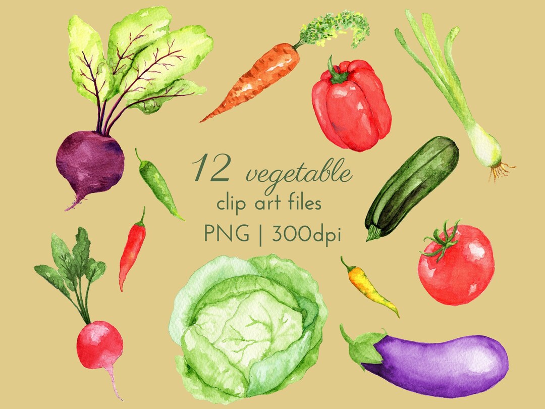 Watercolor Vegetable Clipart: 12 PNG Files (commercial License) - Etsy