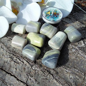 Serpentine Infinite Tumbled Stone Pebble Charm Stone Small | Etsy