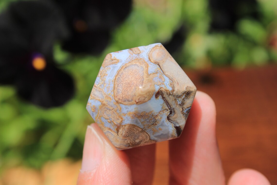 Palm Root Fossil Mini Point Stone Palm Root Crystal Stone - Etsy