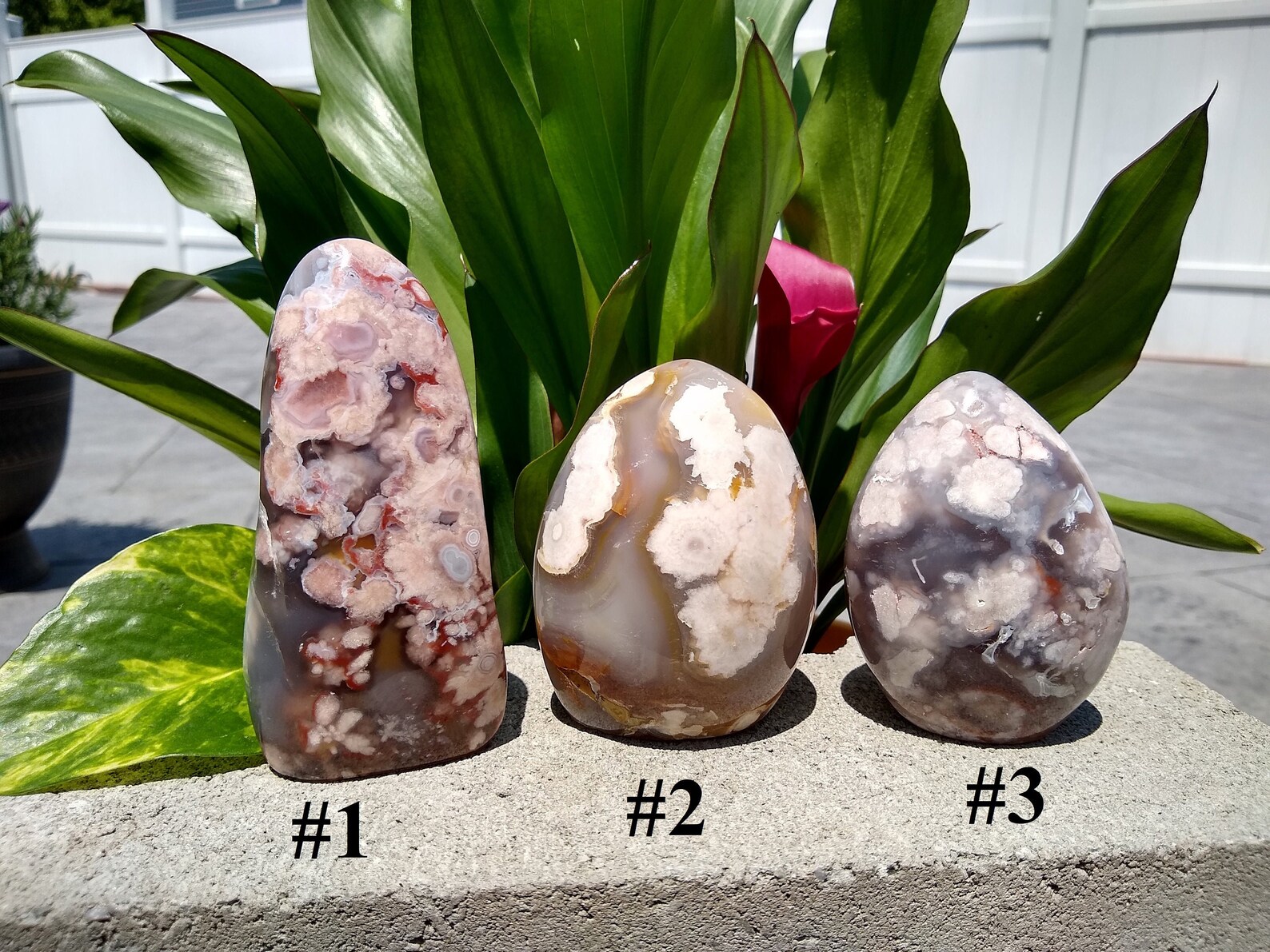 Flower Agate Free Form Free Shape Polished Flower Agate | Etsy