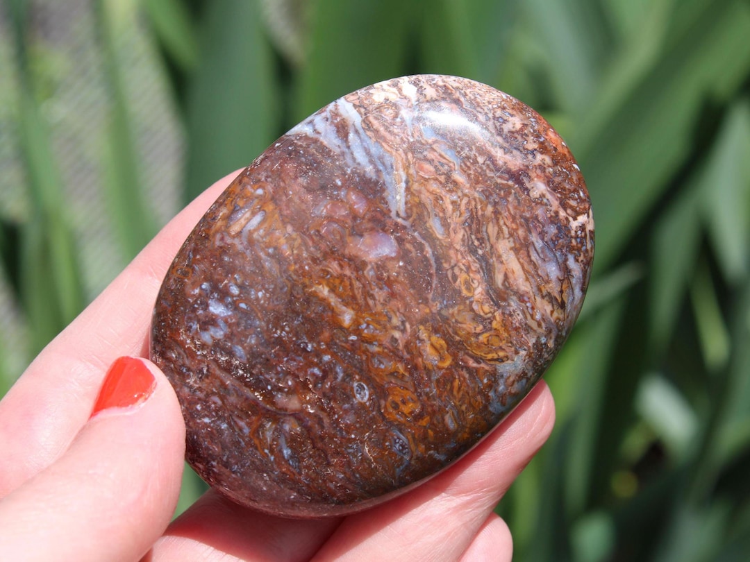 Root Plume Agate Polished Palm Stone, Natural Plume Agate Crystal, Root ...