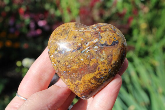 Root Plume Jasper Polished Heart Stone Natural Plume Agate - Etsy