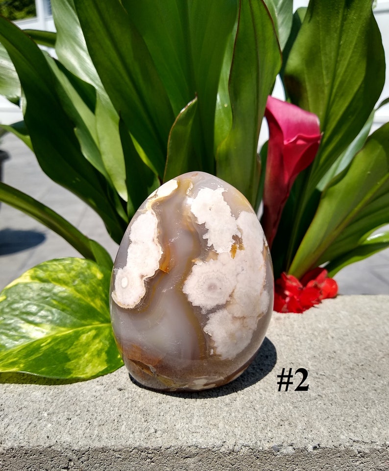 Flower Agate Free Form Free Shape Polished Flower Agate | Etsy