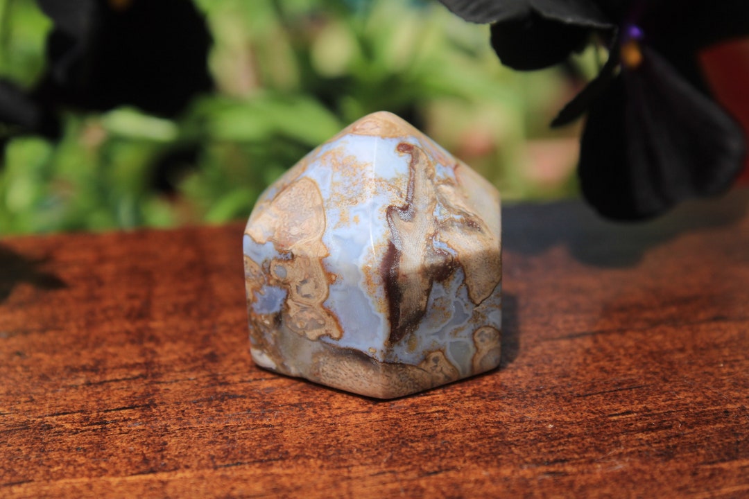 Palm Root Fossil Mini Point Stone, Palm Root Crystal Stone ...
