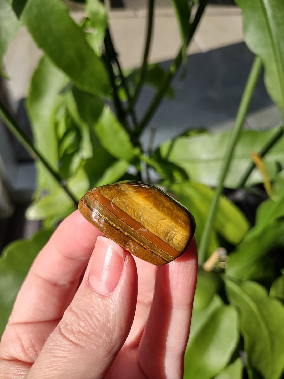 Iron Tiger's Eye Pebble Stone, the Self Confidence and Courage Stone ...