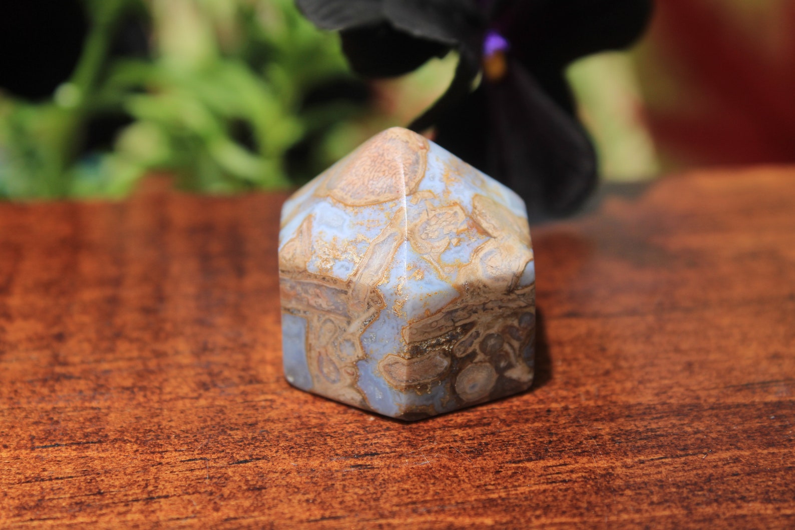 Palm Root Fossil Mini Point Stone Palm Root Crystal Stone - Etsy