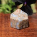 Palm Root Fossil Mini Point Stone, Palm Root Crystal Stone ...