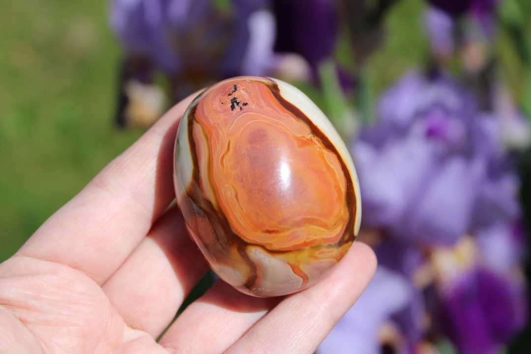 Polychrome Jasper, Polychrome Palm Stone, Polychrome Desert Jasper ...