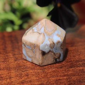 Palm Root Fossil Mini Point Stone, Palm Root Crystal Stone ...