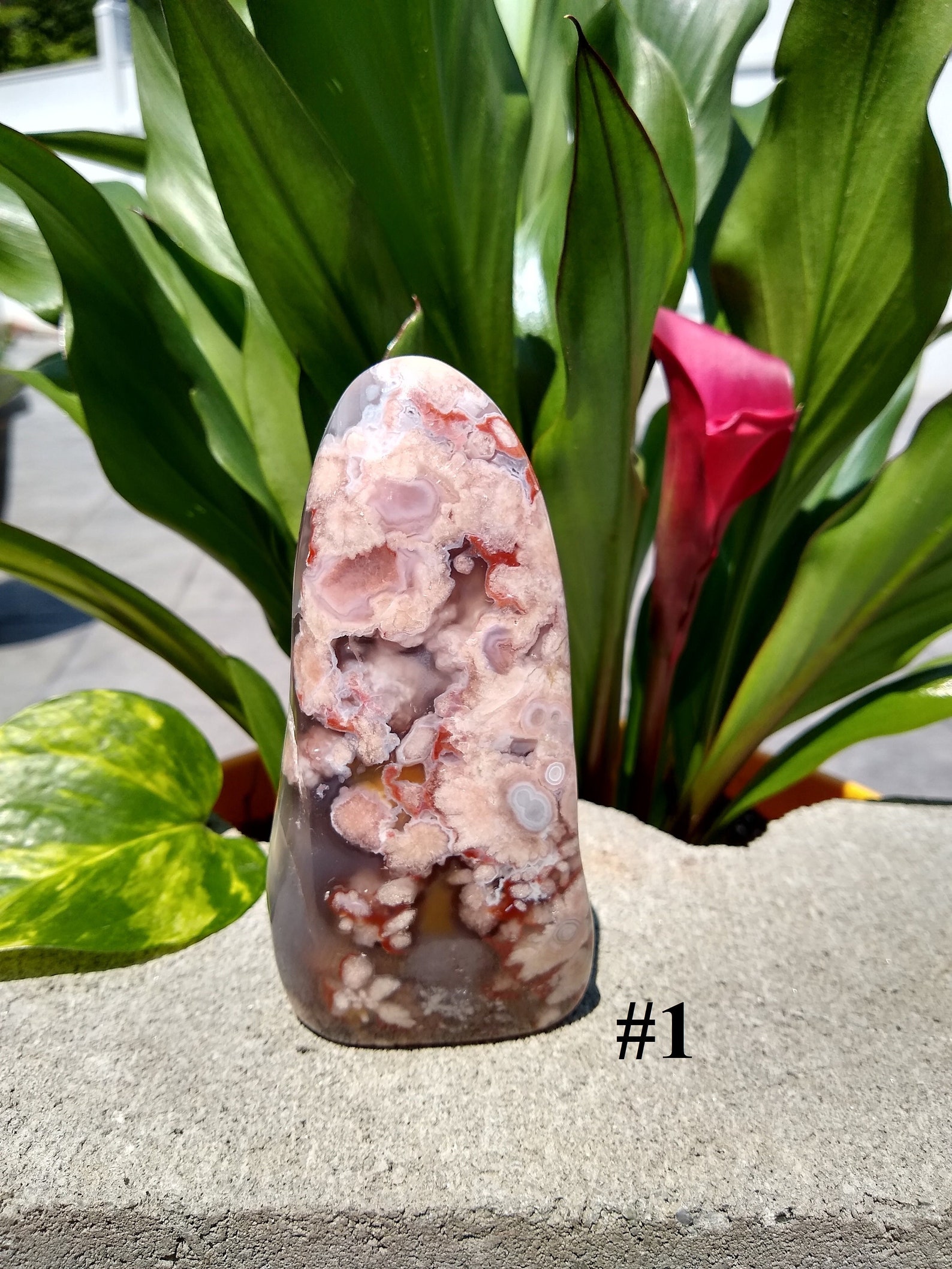 Flower Agate Free Form Free Shape Polished Flower Agate | Etsy