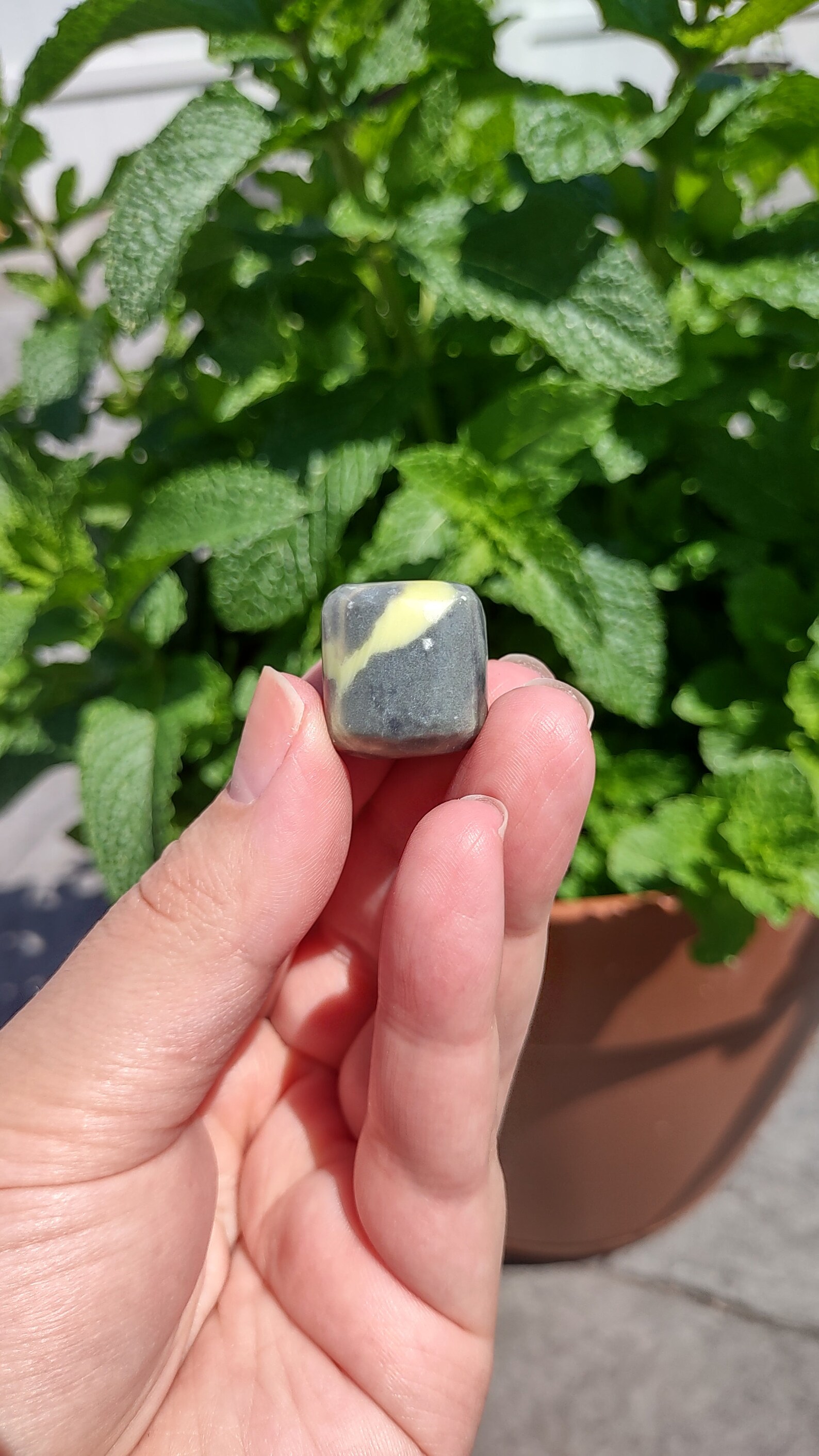 Serpentine Infinite Tumbled Stone Pebble Charm Stone Small - Etsy