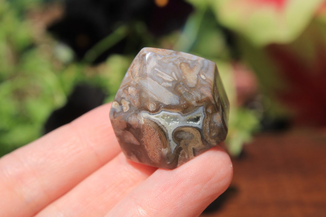 Palm Root Fossil Mini Point Stone, Palm Root Crystal Stone ...