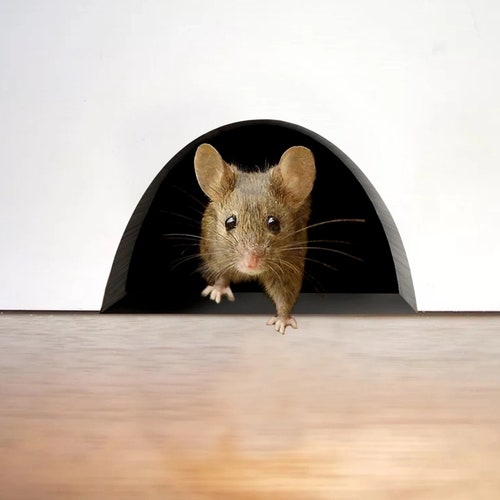 Realistic 3D Mouse Wall Sticker - Etsy