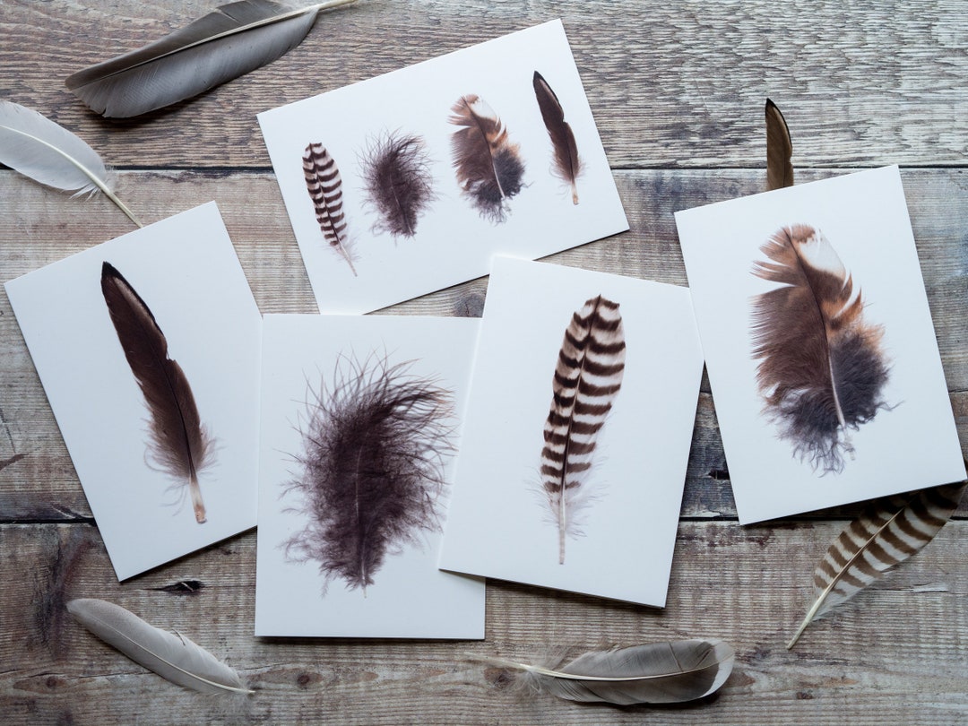 Feather Card Blank Greeting Card / Notecard With Recycled Envelope ...