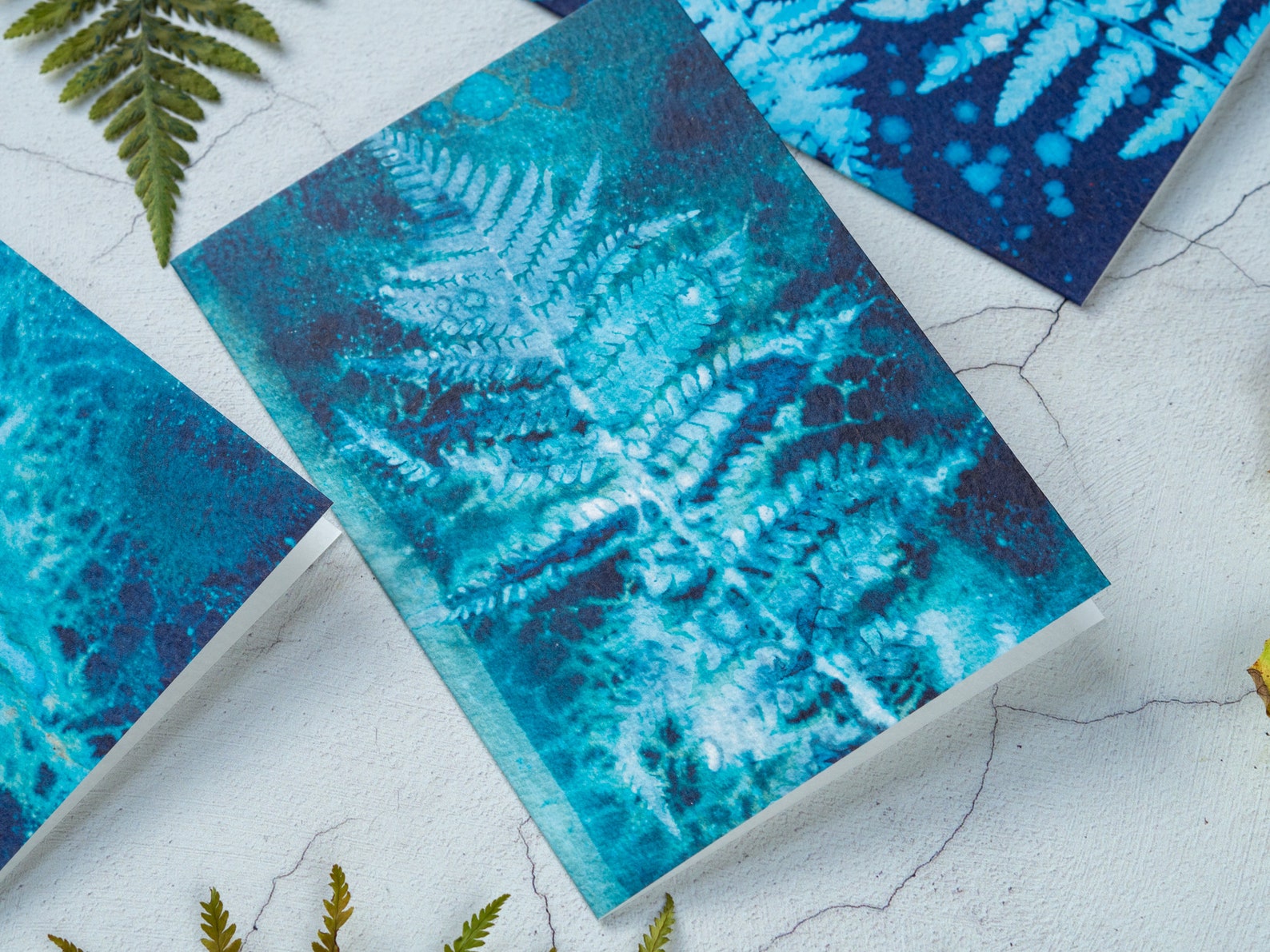 Blue Fern Cyanotype Stationery Set Card Stickers & Gift Tag | Etsy