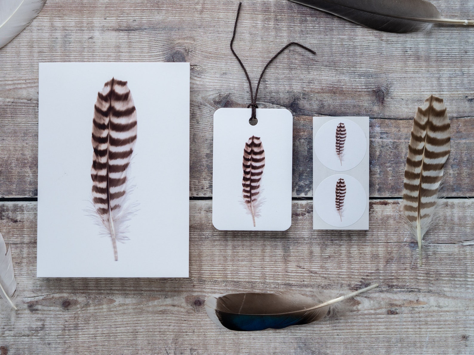 Buzzard Feather Stationery Set Card Sticker & Gift Tag | Etsy