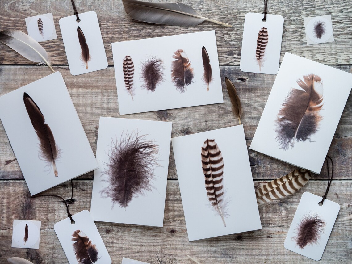 Feather Card Blank Greeting Card / Notecard With Recycled - Etsy