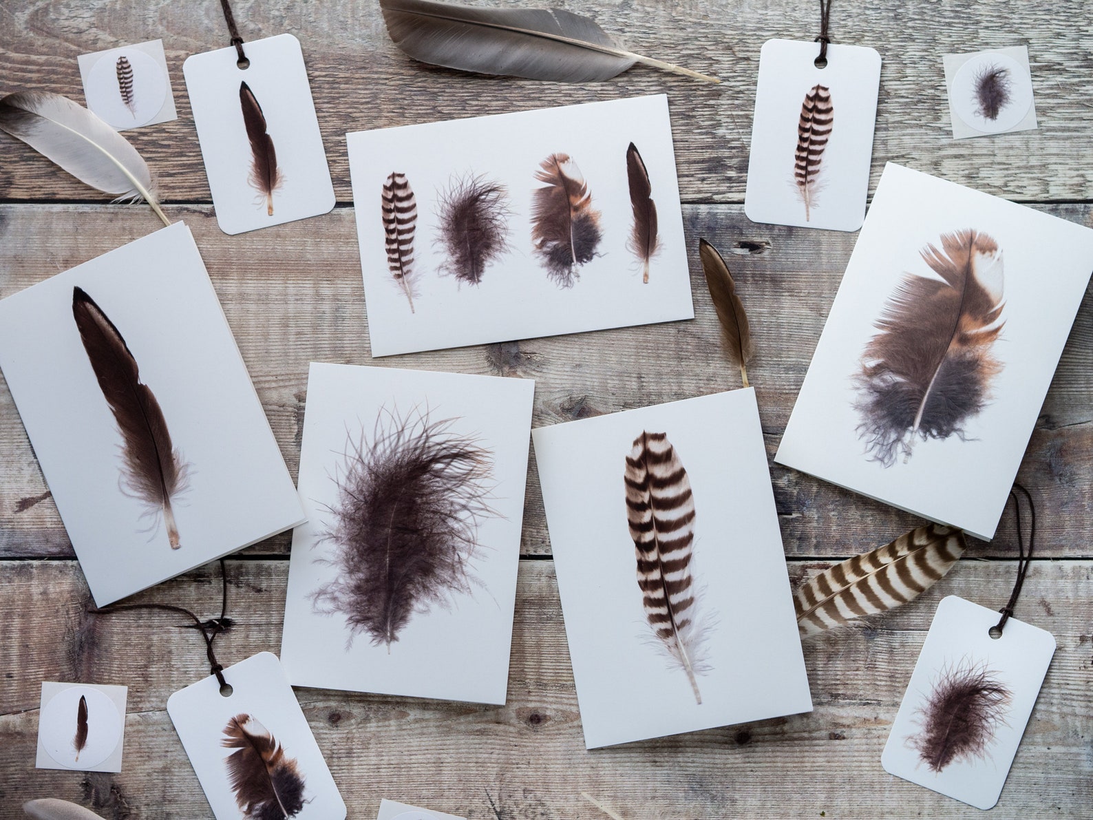Feather Card Blank Greeting Card / Notecard With Recycled - Etsy