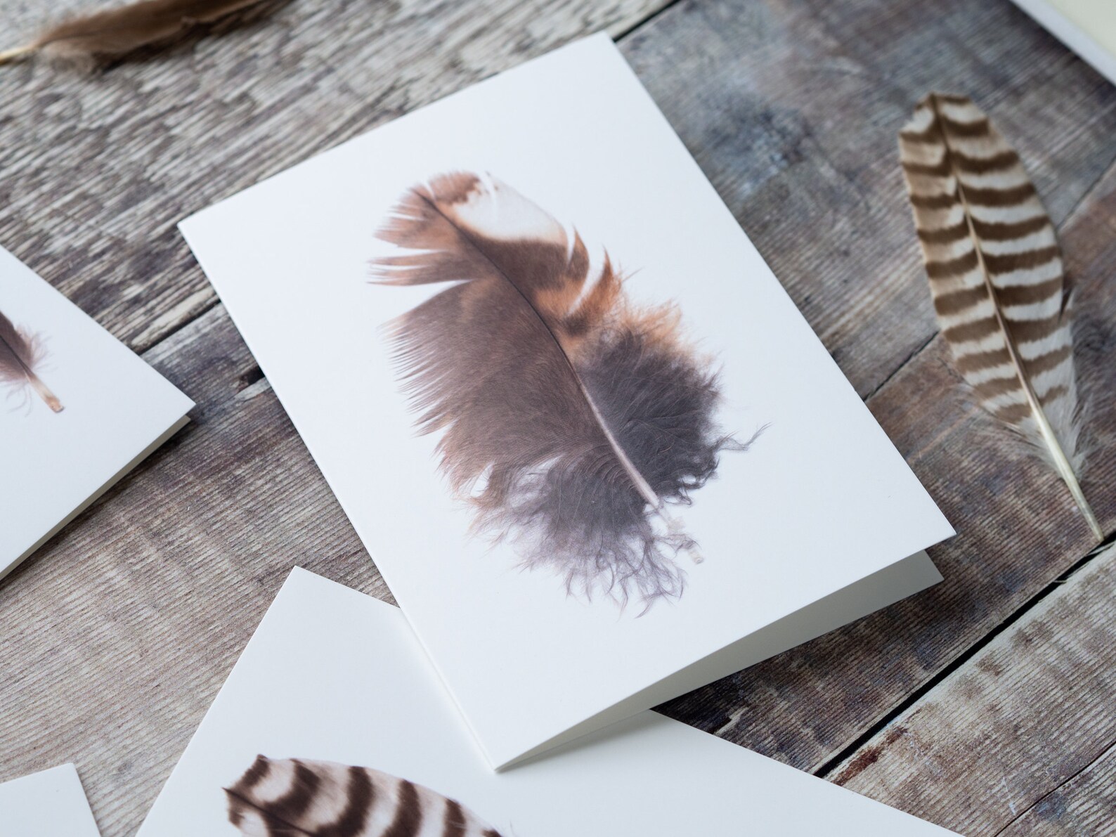Feather Card Blank Greeting Card / Notecard With Recycled - Etsy