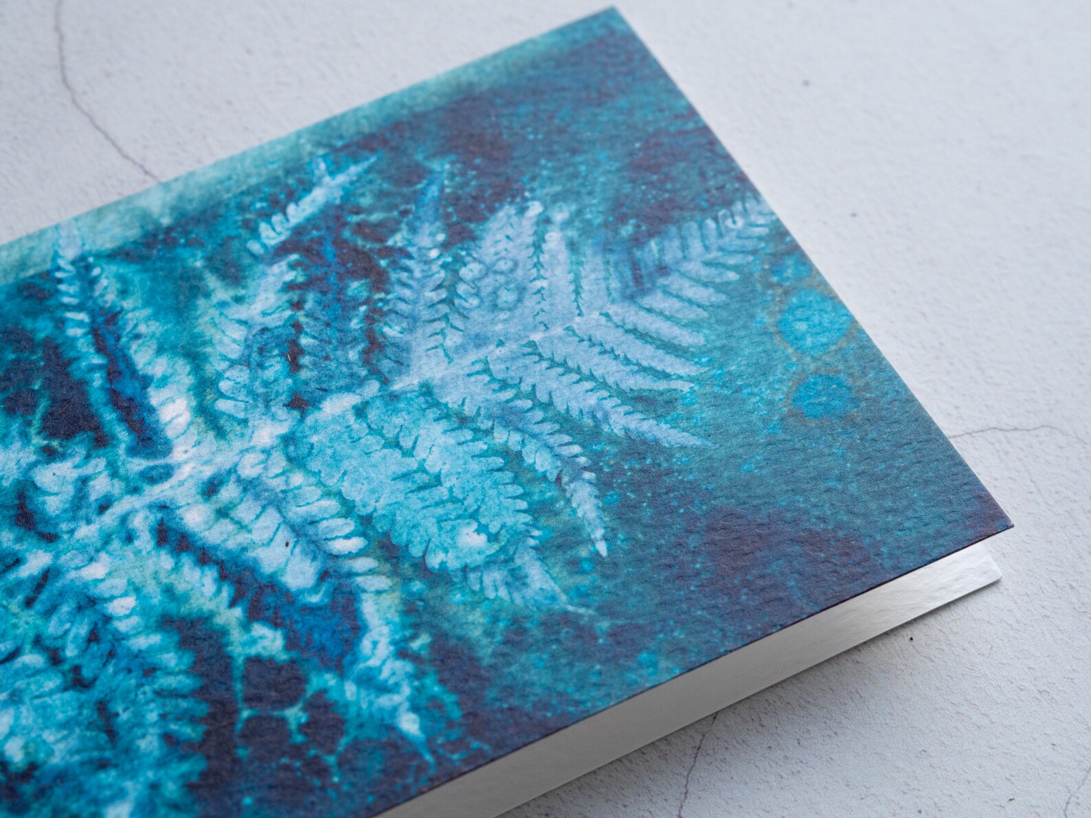 Blue Fern Cyanotype Stationery Set Card Stickers & Gift Tag - Etsy