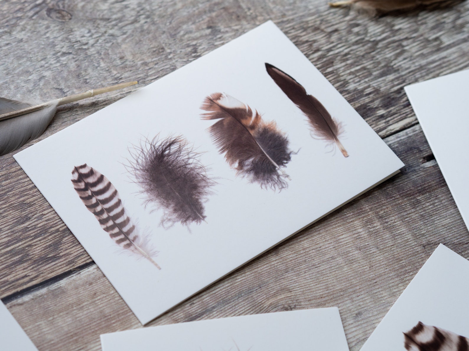 Feather Card Blank Greeting Card / Notecard With Recycled - Etsy