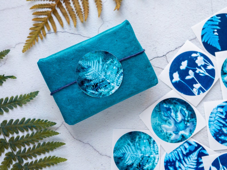 Blue Fern Cyanotype Stationery Set Card Stickers & Gift Tag - Etsy