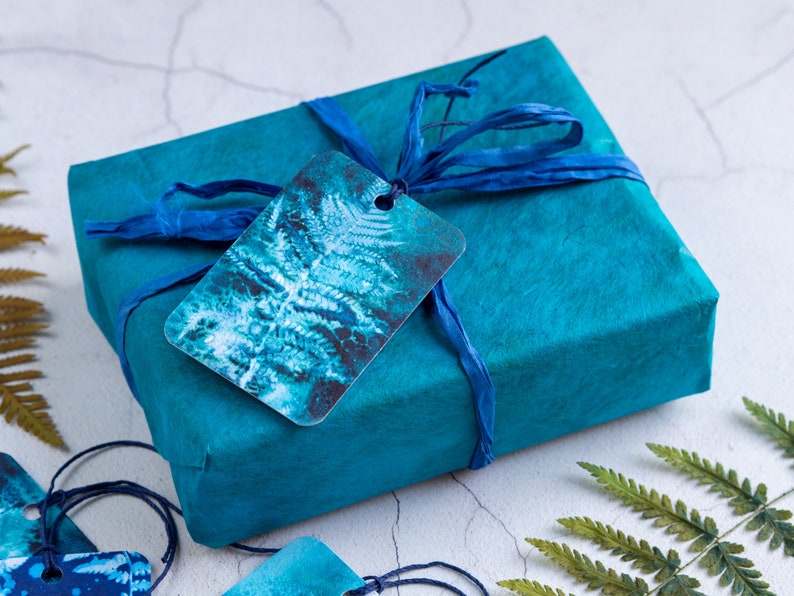 Blue Fern Cyanotype Stationery Set Card Stickers & Gift Tag | Etsy